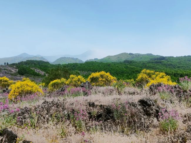 Tourism and nature. The great parks of Sicily - Etna Moving